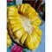 EVIARC The Sweetest Jackfruit Plant:- – veliyathgardens
