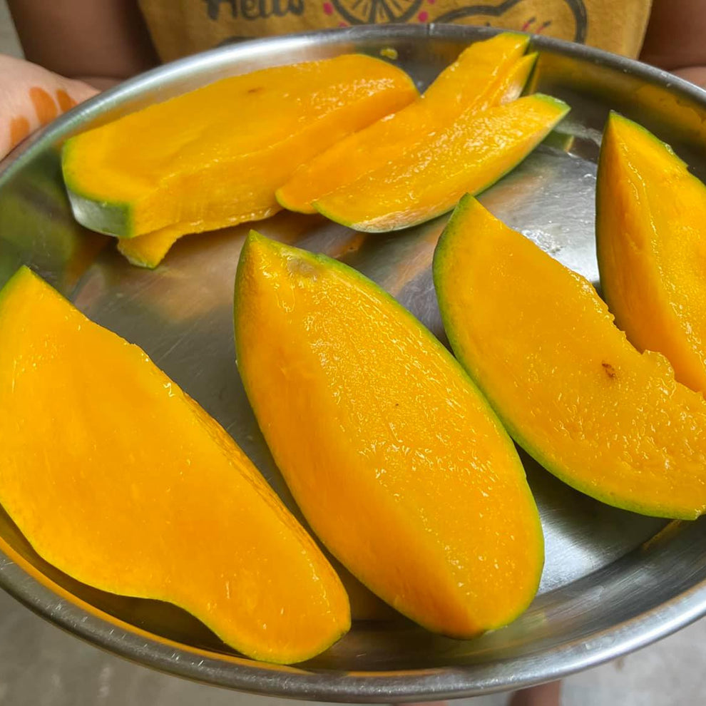 Catimon Mango (Katimon Mango) Live Plant – veliyathgardens