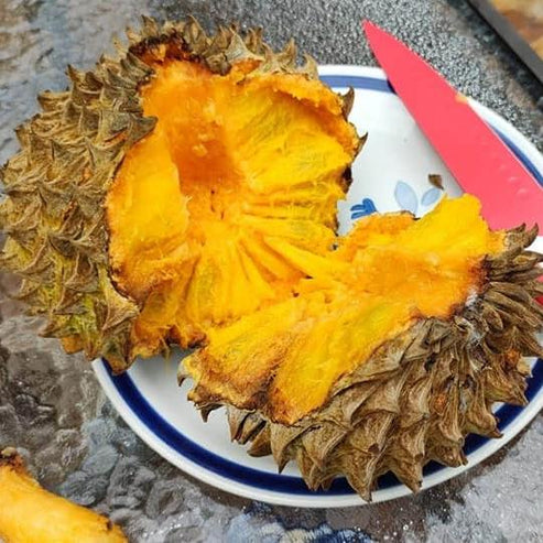 Soncoya Fruit Plant ( Annona Purpurea ) – veliyathgardens