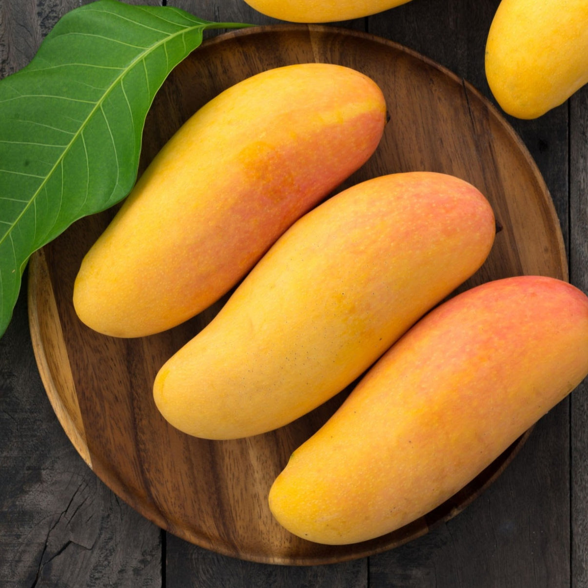 Mahachanok Mango – veliyathgardens