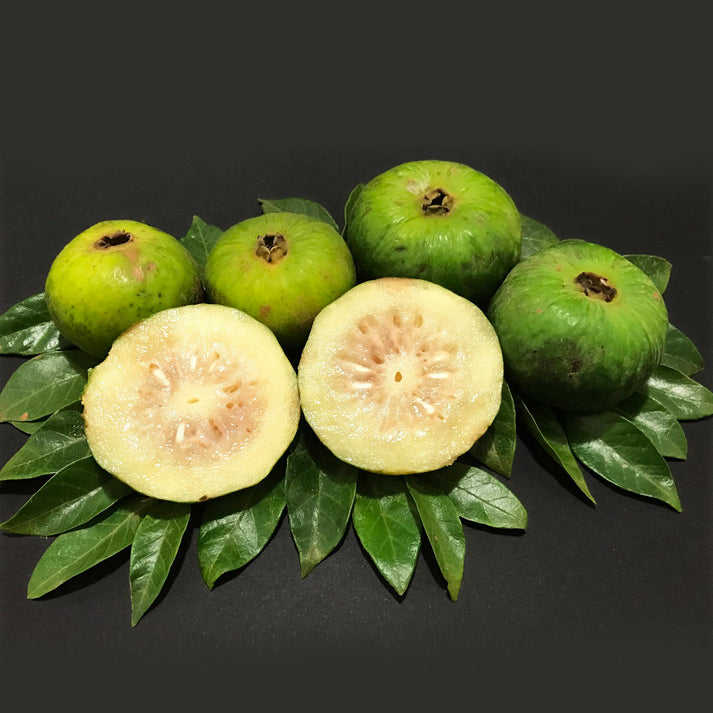 Limao Fruit Plant (Campomanesia hirsuta) – veliyathgardens