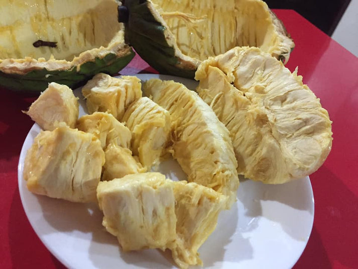 Mocambo Fruit Plants (White Cacao) (Theobroma Bicolor) – veliyathgardens