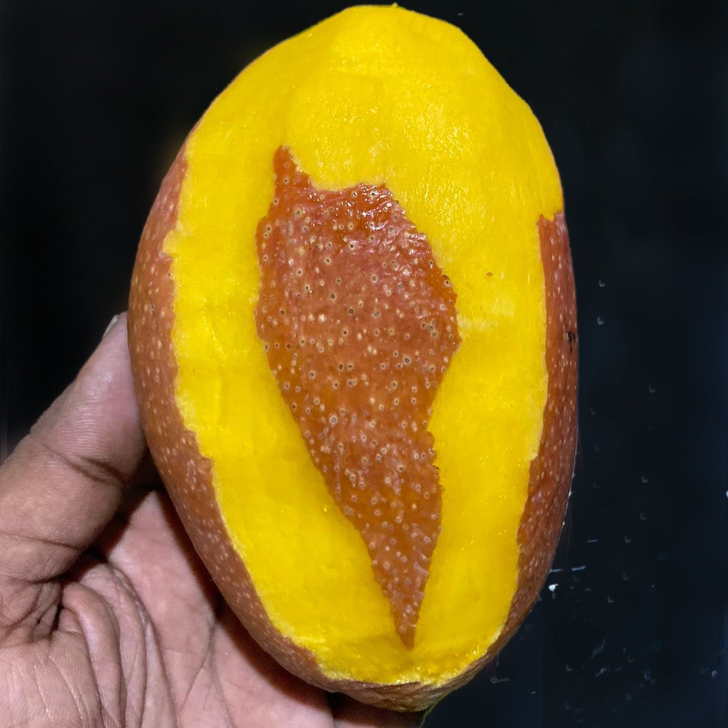 Yuwen Mango Live Plant – veliyathgardens