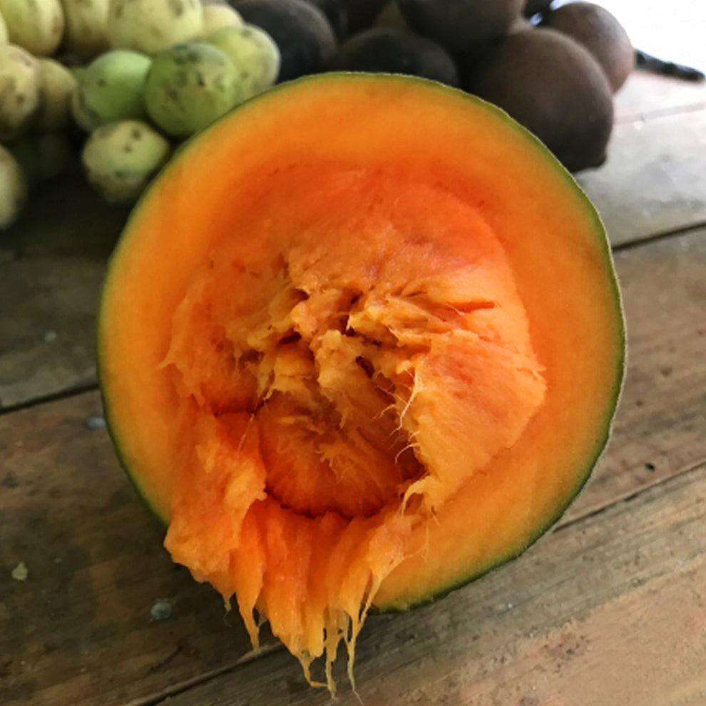 Chupa Chupa Fruit Plant (Quararibea Cordata): A Unique Tropical Deligh ...