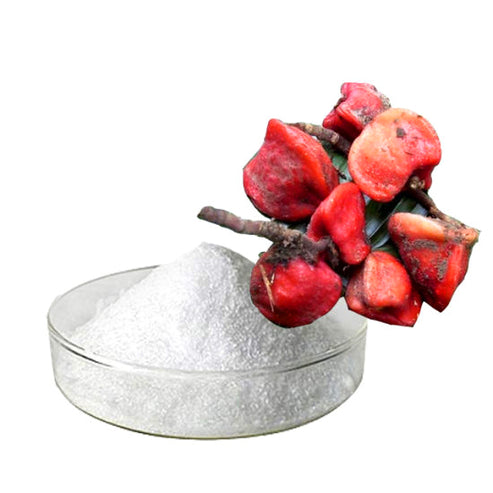 Sweet Prayer (Katemfe) Fruit Plant (Thaumatococcus Daniellii ...