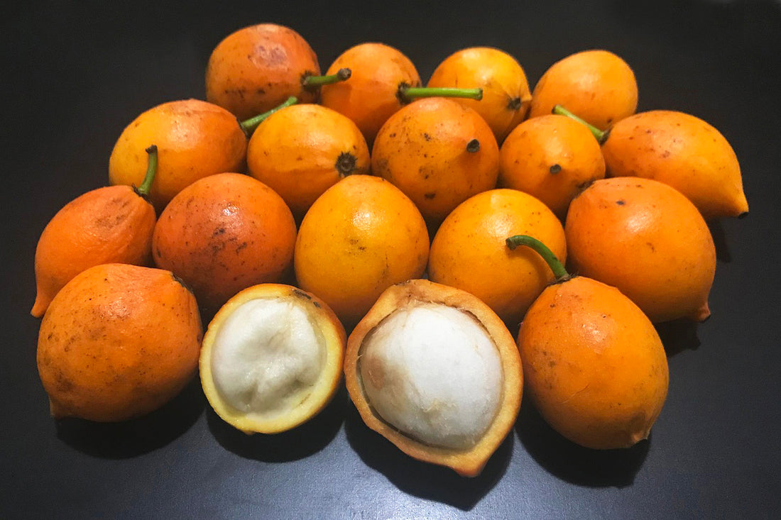 Bacupari Fruit Plants (Garcinia Brasiliensis ) – veliyathgardens