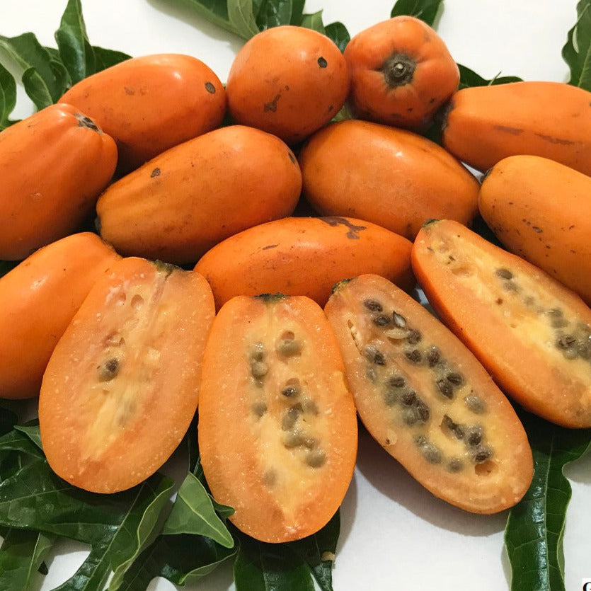 Jacaratia Fruit Plant (Jacaratia spinosa) – veliyathgardens