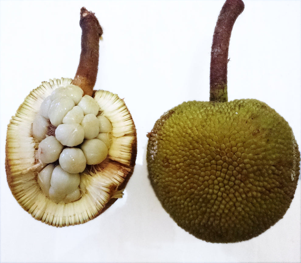 Pingan Fruit Live Plants – veliyathgardens
