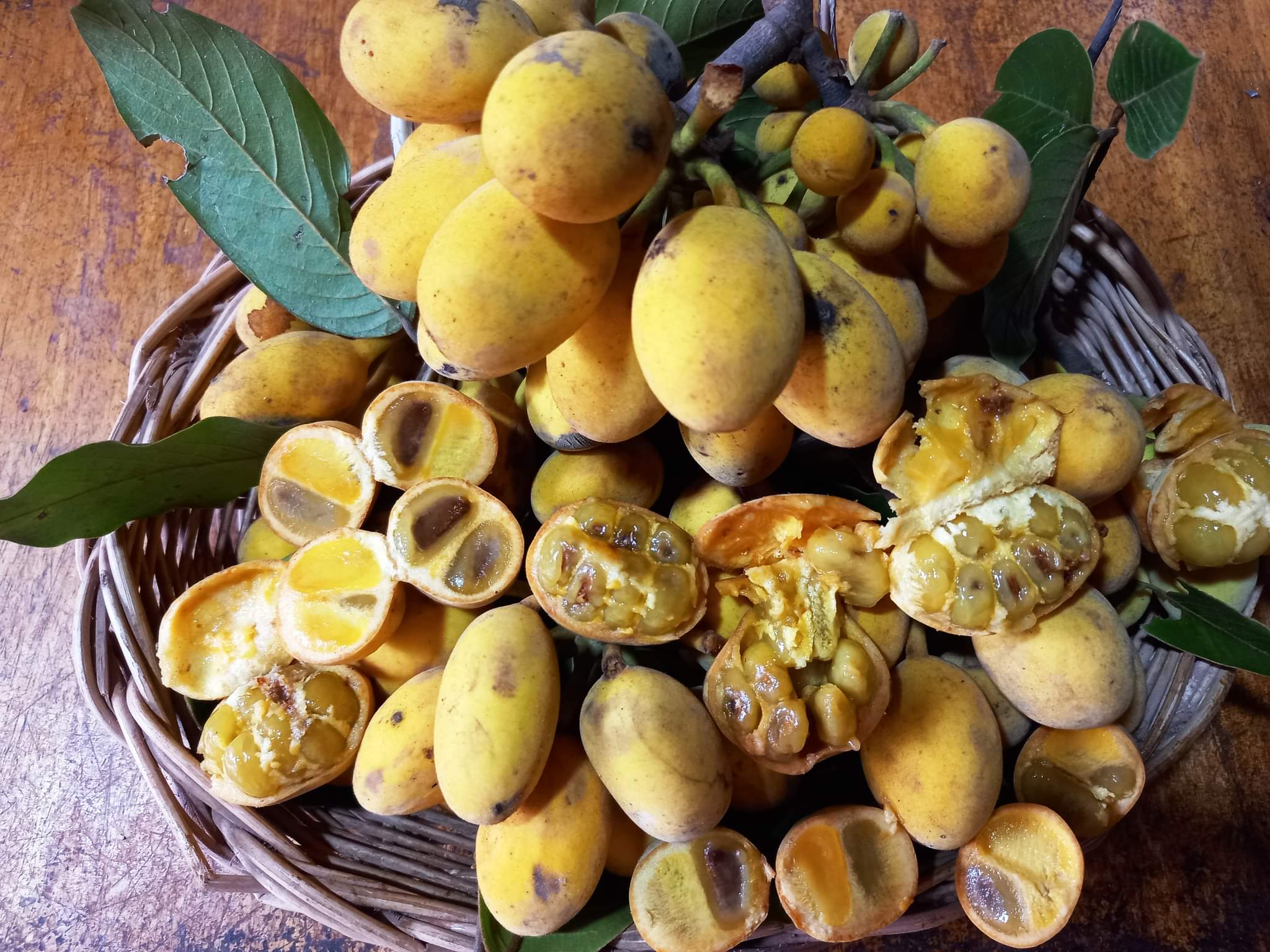 Sampouch Fruit Plant – veliyathgardens